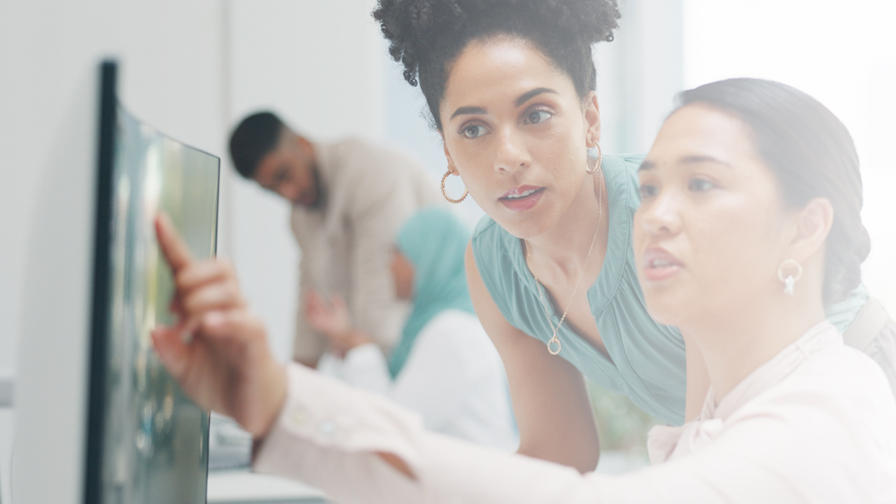 IDSI - Program Support